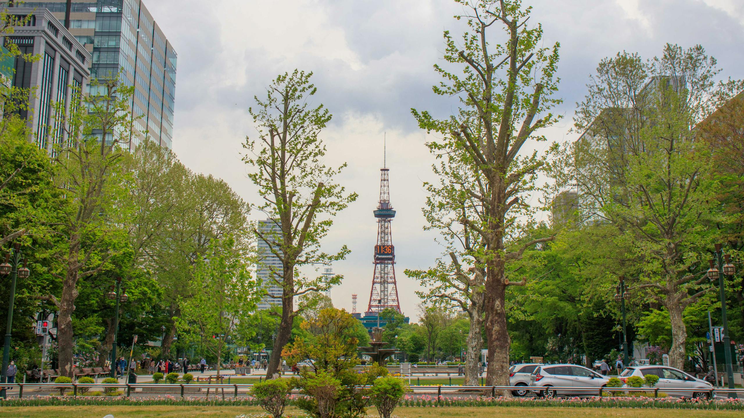 The Ultimate Sapporo Travel Guide for 2026: What to Do, Eat & See ...